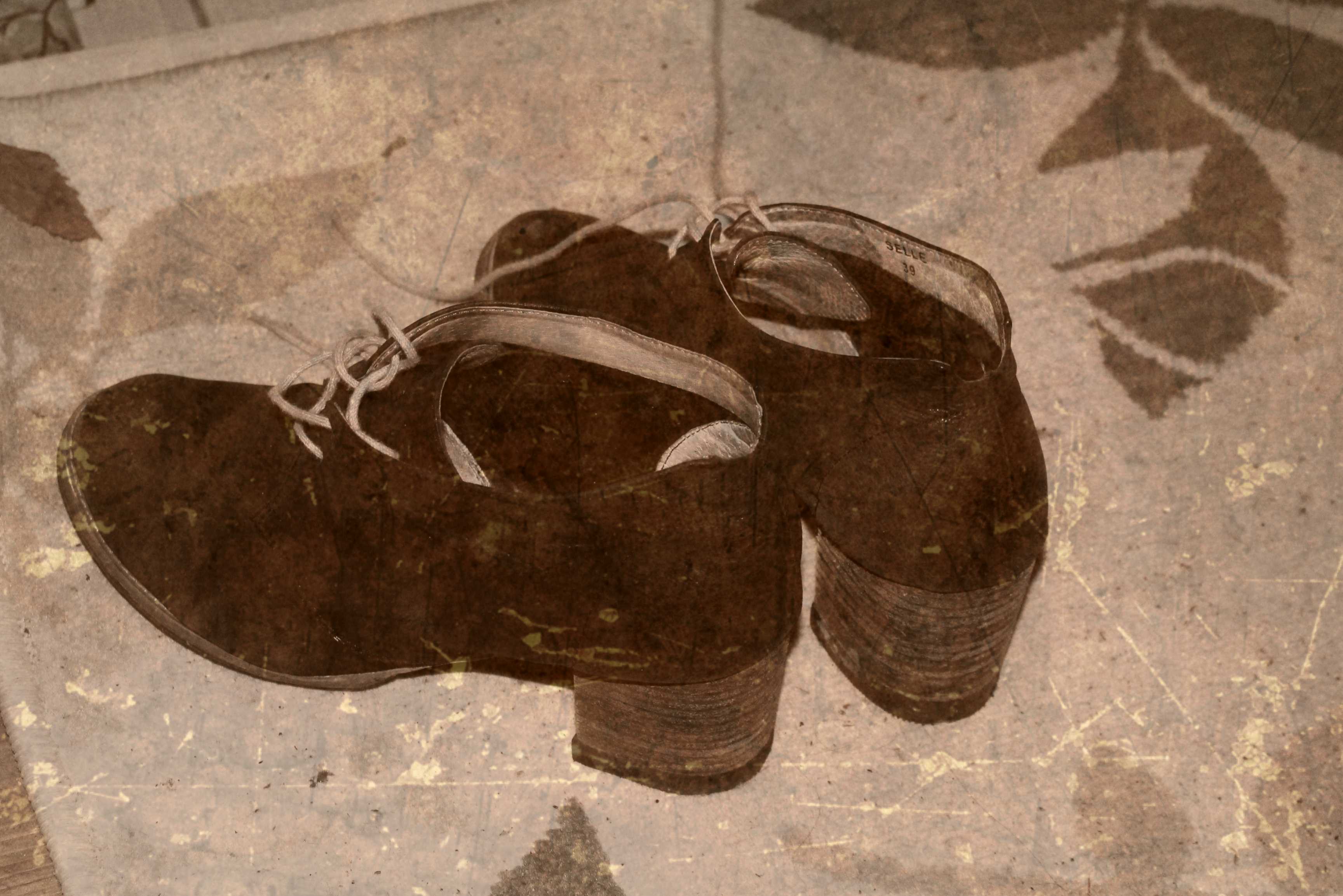 Moi, mes souliers | Journal poetique/ Poetic diary